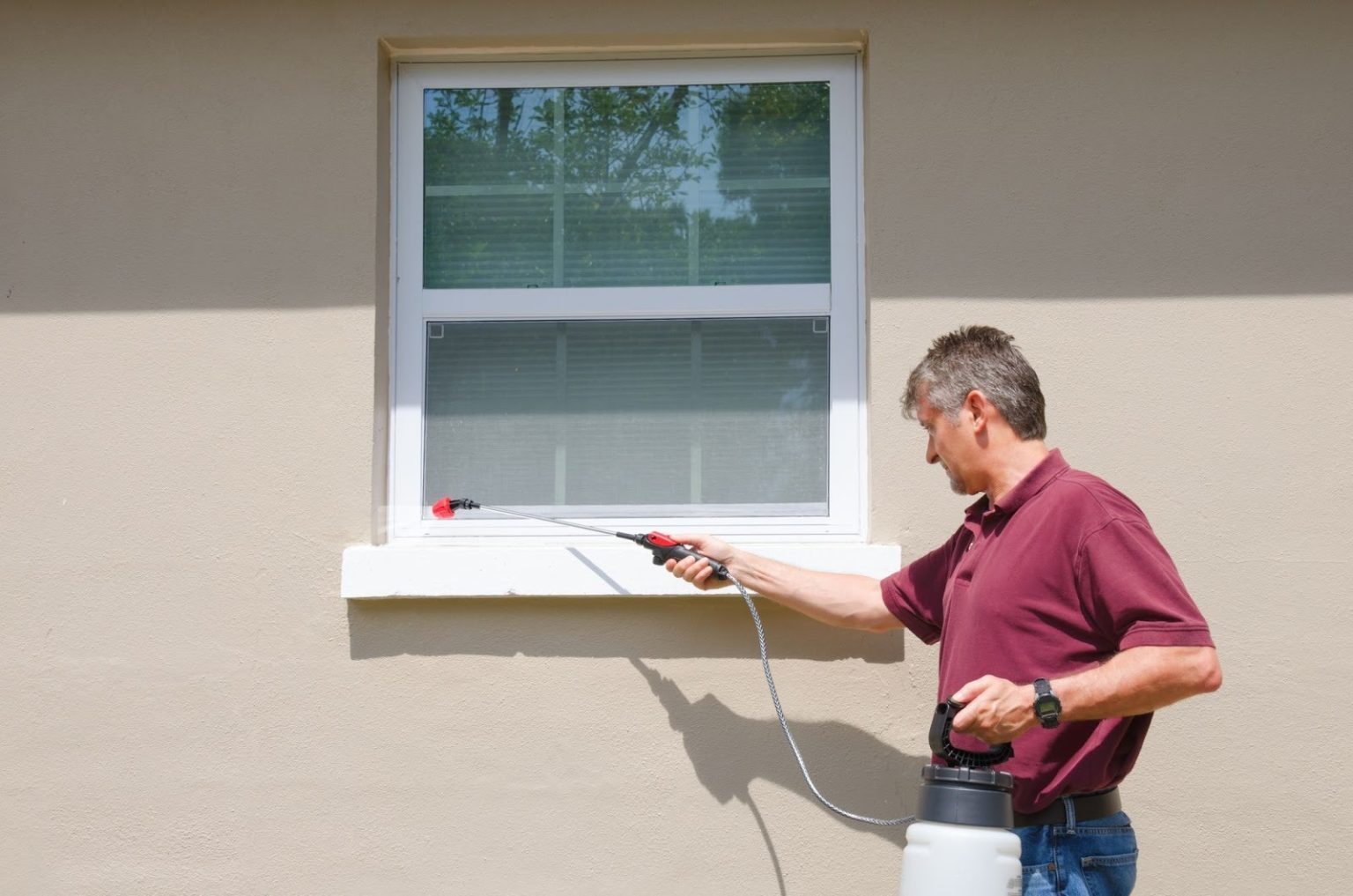 Why Pros Outperform DIY Pest Control Long-Term - 2A Magazine
